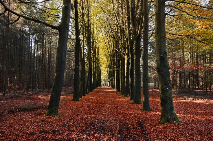 To Every Season, Turn, Turn, Turn – Smuggling Grace
