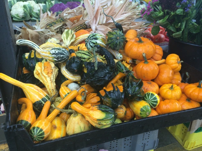 From the Vault: Renee Roederer, Gourd Shellac-er – Smuggling Grace